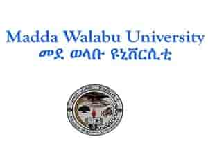 Madda Walabu University: Bale Robe, Ethiopia