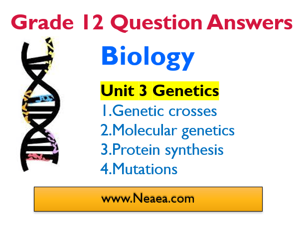 Ethiopia Grade 12 Biology: Unit 3 Genetics Questions Answers
